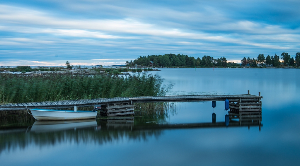 Zsuzsa Bánk: Der Schwimmer | UNIMAG